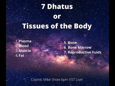 7 Dhatus - Ayurvedas Secret To Good Health - Balancing The Doshas ...