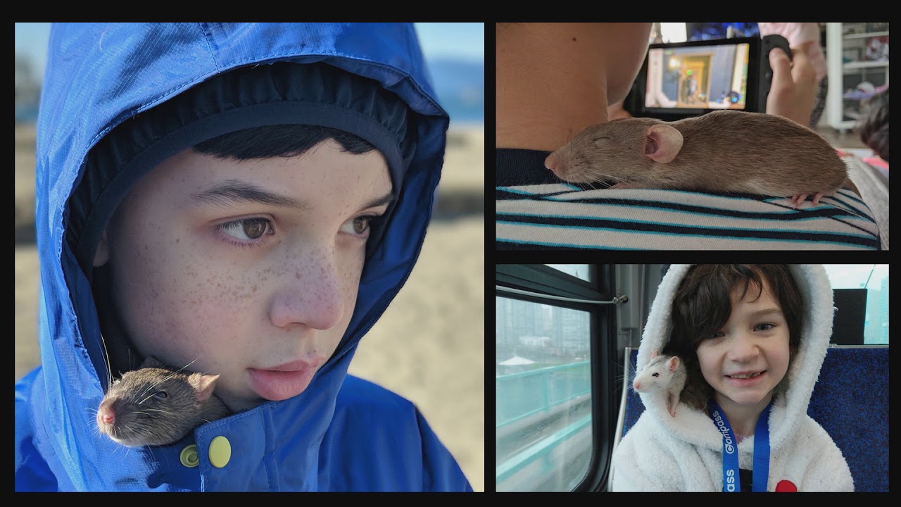 Adrian Crook - Public Salon: Urban Advocate - YouTube