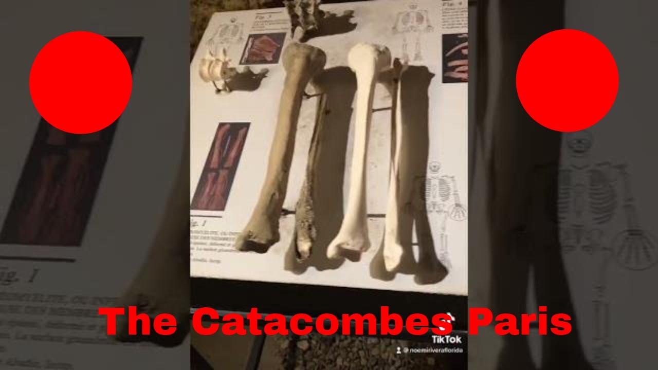 The Catacombs Paris Municipal Ossuary Underground Tunnels #travel - YouTube
