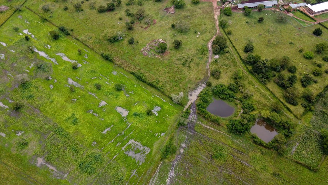 Rain Renders HALF of the Farm USELESS - YouTube