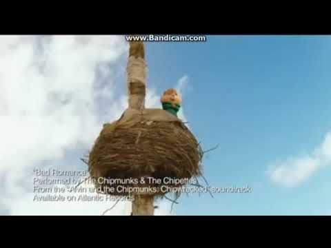 Burunduklar (sevgi şirin yuxudur 2015)