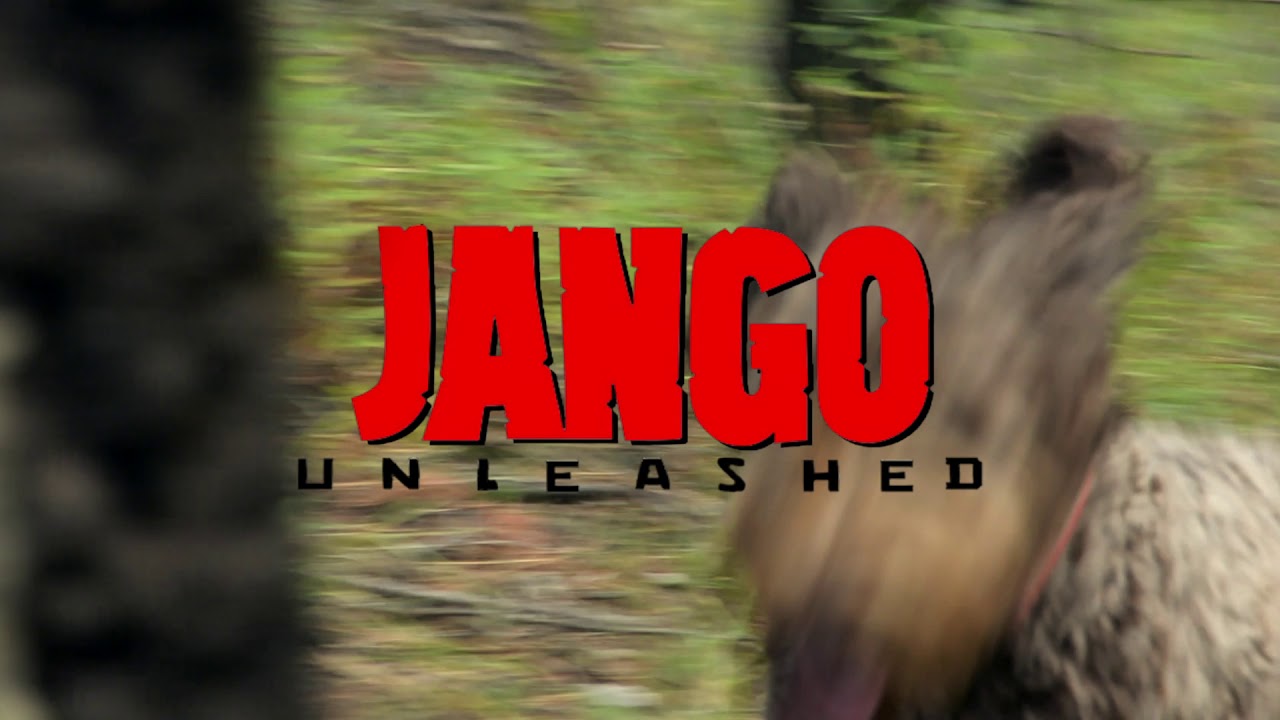 JANGO unleashed - YouTube