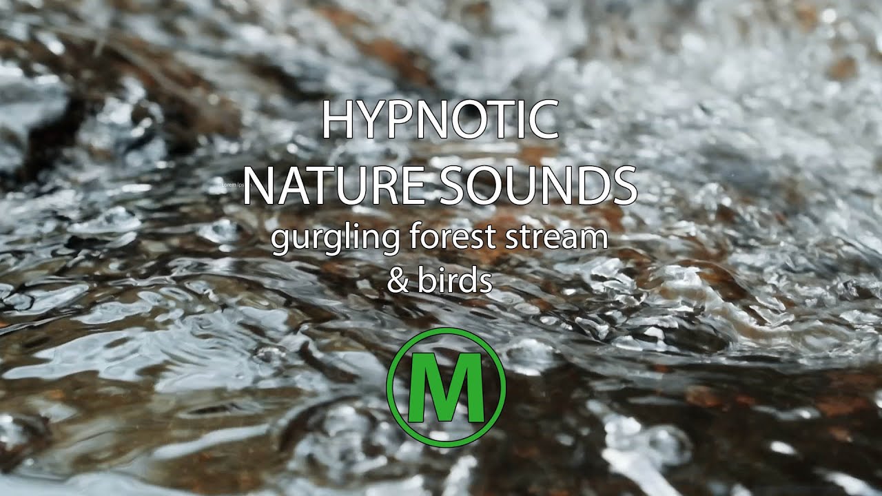 HYPNOTIC SOUNDS OF WATER, FROREST, BIRDS, STREAM for sleeping ...