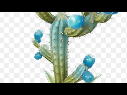 Drawing Fortnite slurp cactus - YouTube