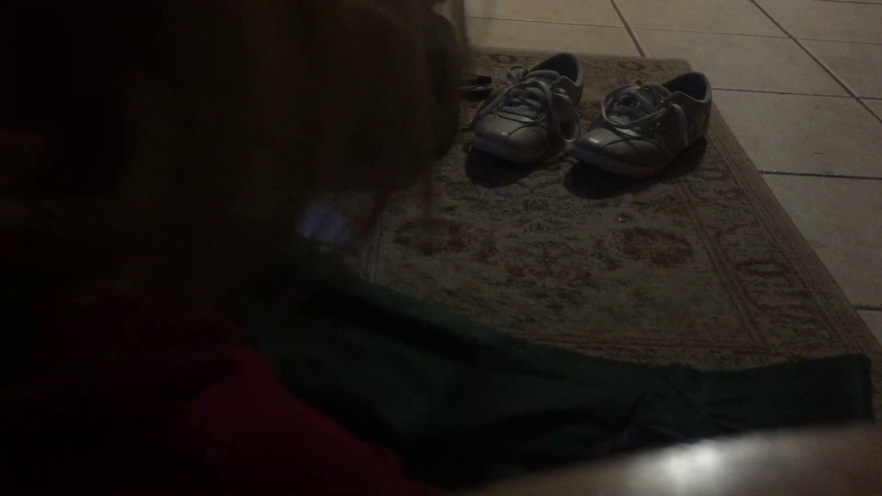 AOT cloak unboxing - YouTube