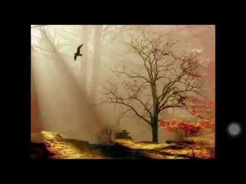 Can yücel - bu günlerde herkes gitmek istiyor - sesli şiir - şeyma çil