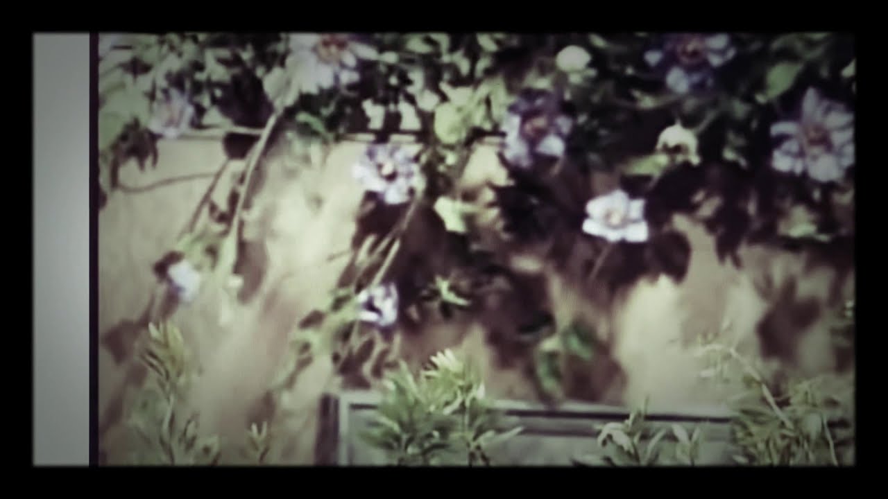 Barney falling down - YouTube