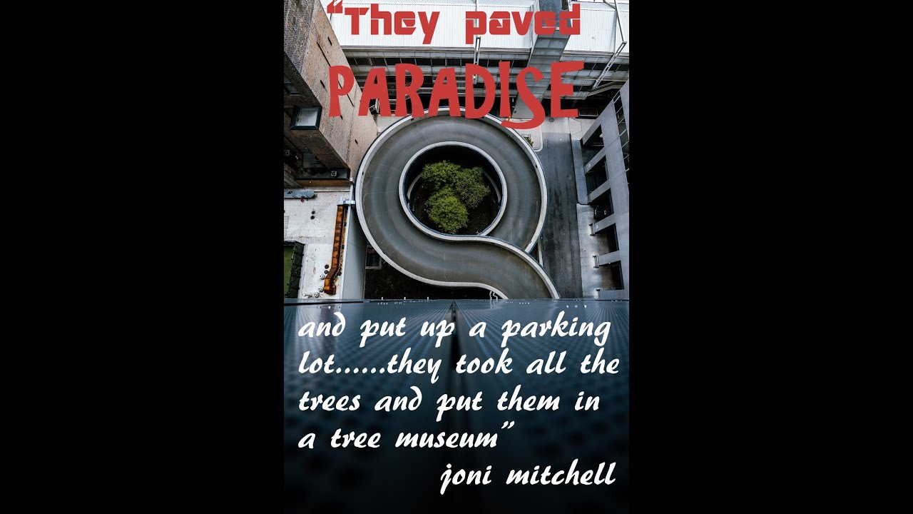 "They Paved Paradise" - YouTube