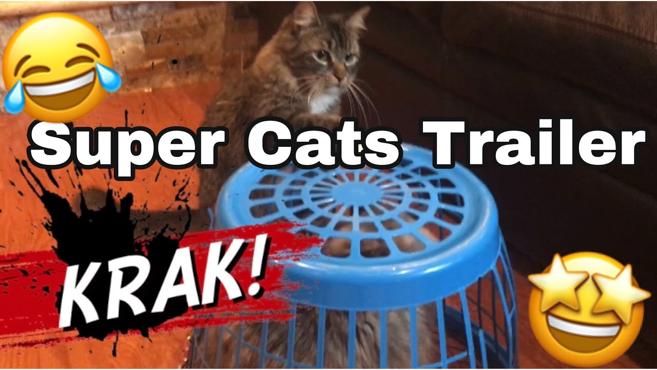 Super Cats *100 subscriber special* - YouTube