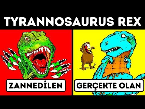 Unutamayacağınız En Popüler 10 Dinozor