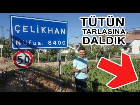 Çelikhan'da Tütün Çiftçisinden Önemli Bilgiler - www.guventutunculuk02.com GÜVEN TÜTÜNCÜLÜK