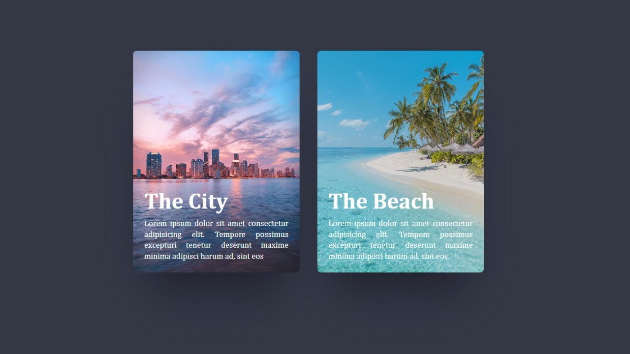 Split Card Hover Effects Using Html And Css 3d Card Hover Effects Css