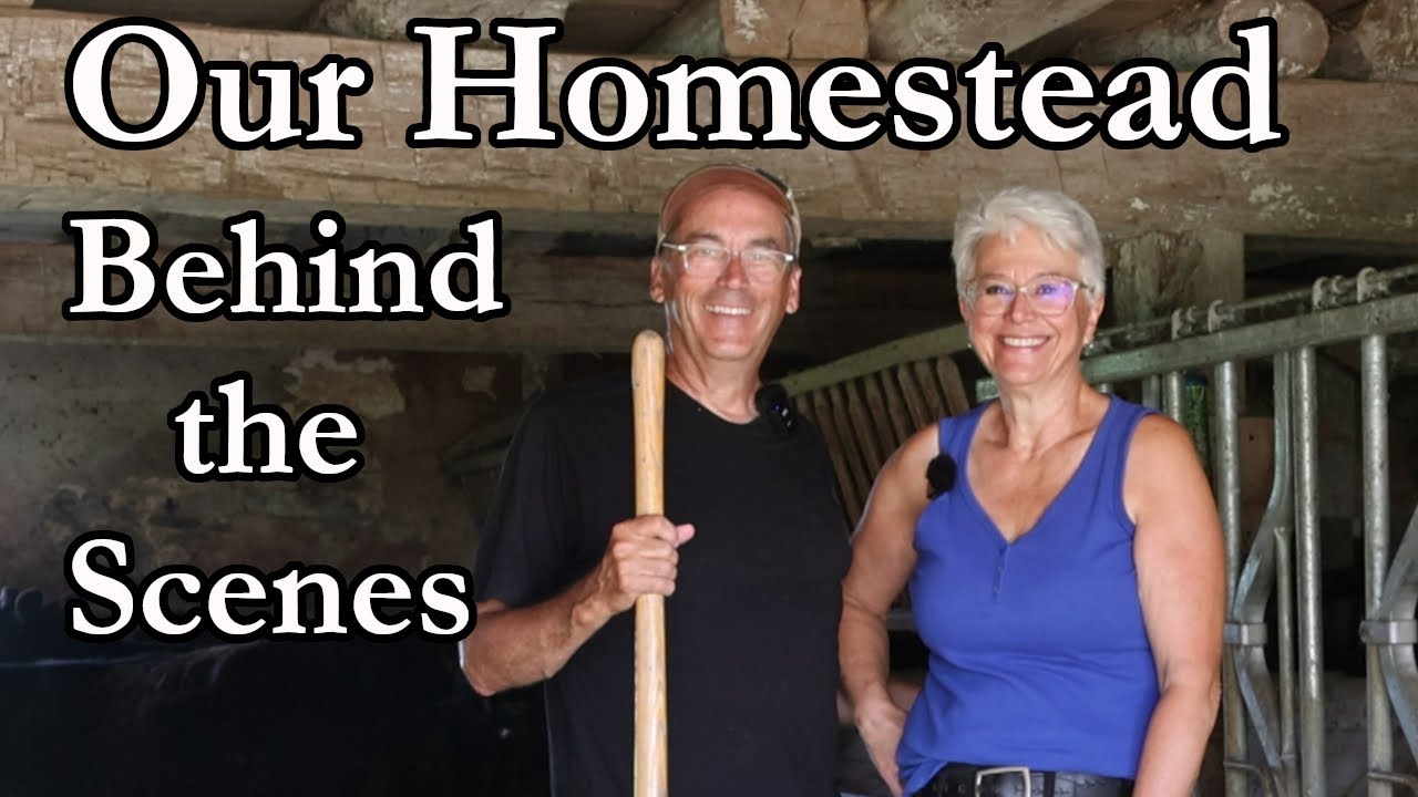 Go Behind the Scenes of Our Homestead Life #homesteadlife - YouTube