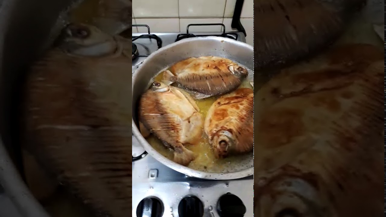 😋 DELICIOSO PACÚ FRITO DA AMAZÔNIA 😋👩‍🍳 HUMMMMMMM !!!!! 👩‍🍳😉 - YouTube