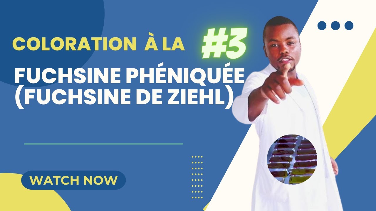 Coloration Des Étalements à la Fuchsine Phéniquée Fuchsine de Ziehl #3 ...