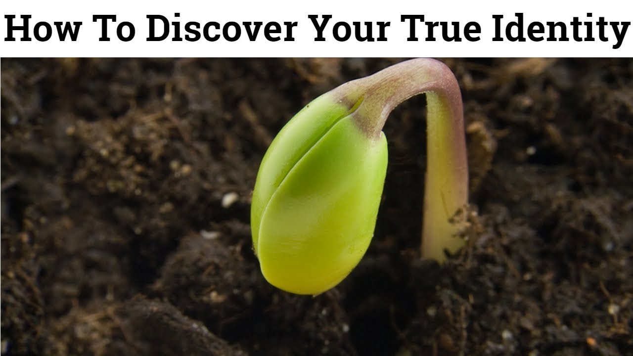 Unless a corn of wheat fall in the ground and die - YouTube