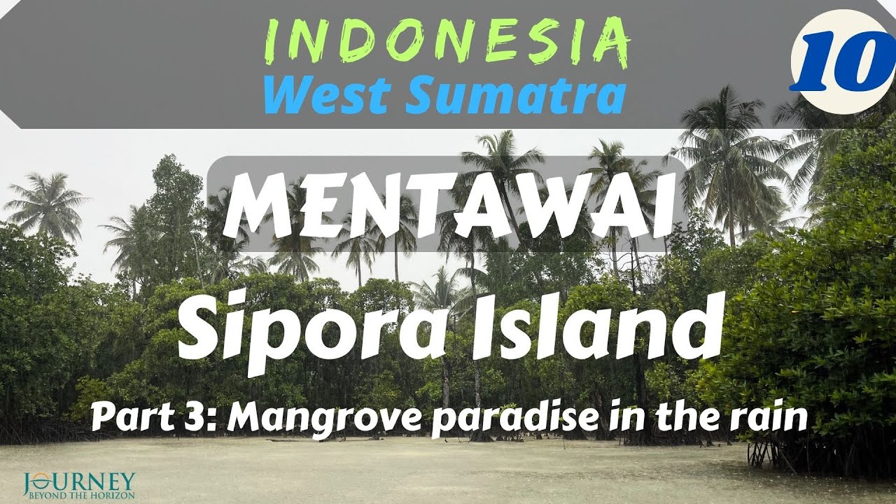 INDONESIA-West Sumatra Part 10: Mentawai-Sipora Island (Mangrove ...