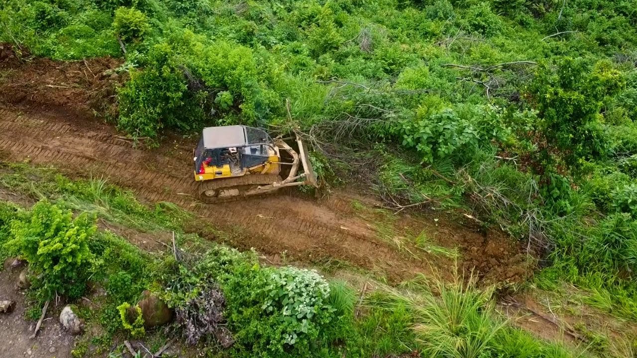 The Most Efficient Job Done by The Dozer - Komatsu D68ESS Forest Road ...