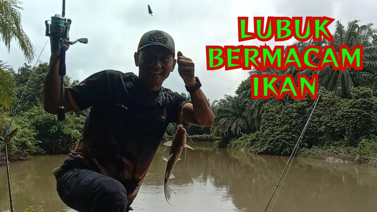 Mancing,mancing dan mancing - YouTube