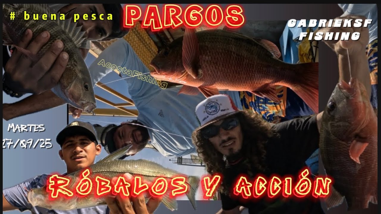 Volvimos a pegarle duro a los PARGOS 😎|| pesca de PARGO Y RÓBALO con ...