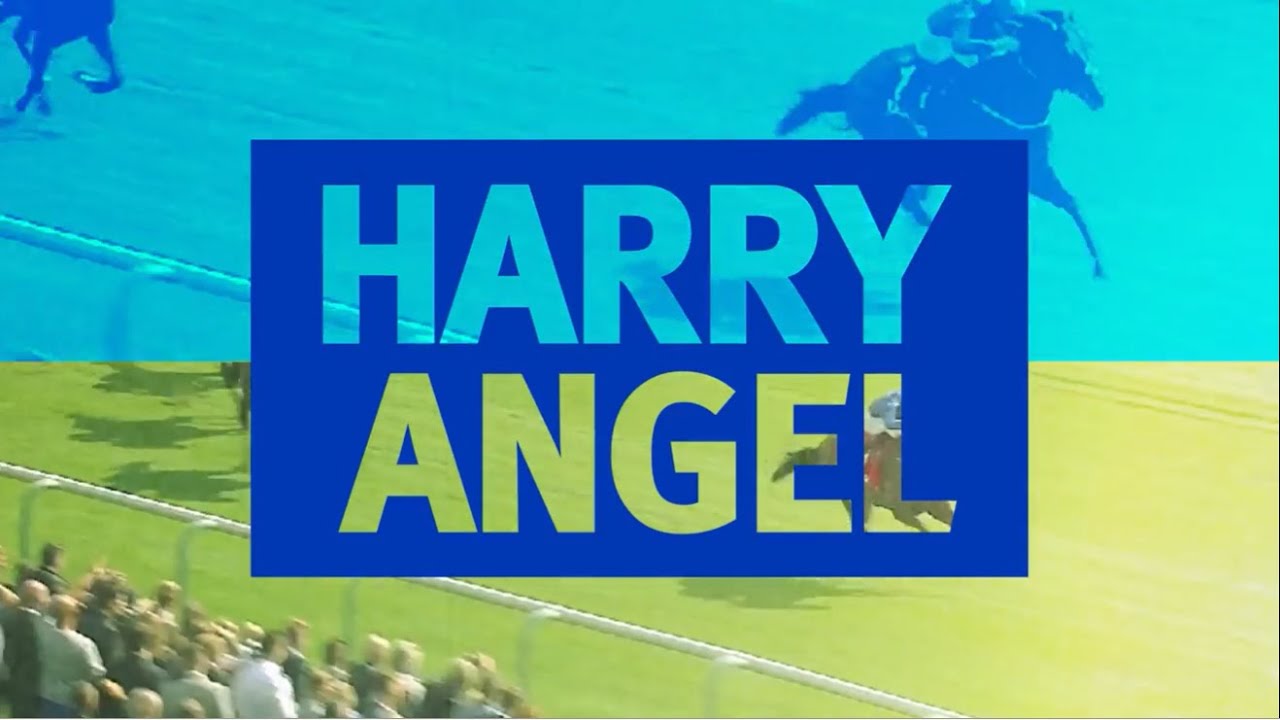 AUS: Harry Angel - With trainer Clive Cox - YouTube