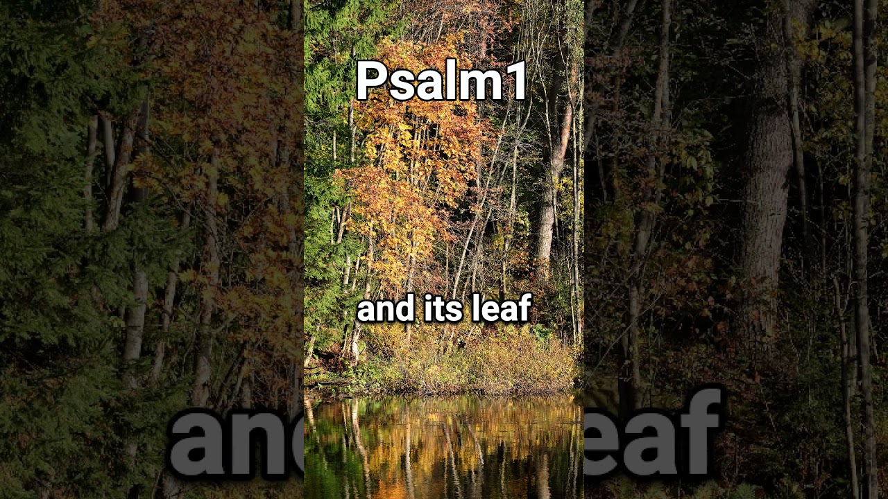 Psalm 1 - Like A Tree Planted By Streams of Water - YouTube