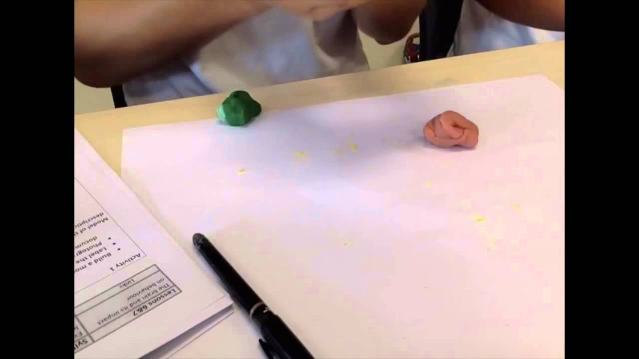 3D Brain Clay Model YouTube 3d-brain-clay-model-youtube