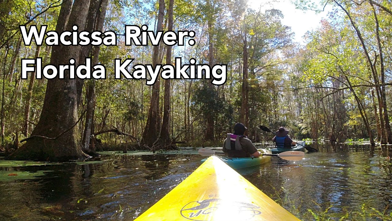 “It’s Like a Disney Ride, But Better” Kayaking Wacissa River with ...