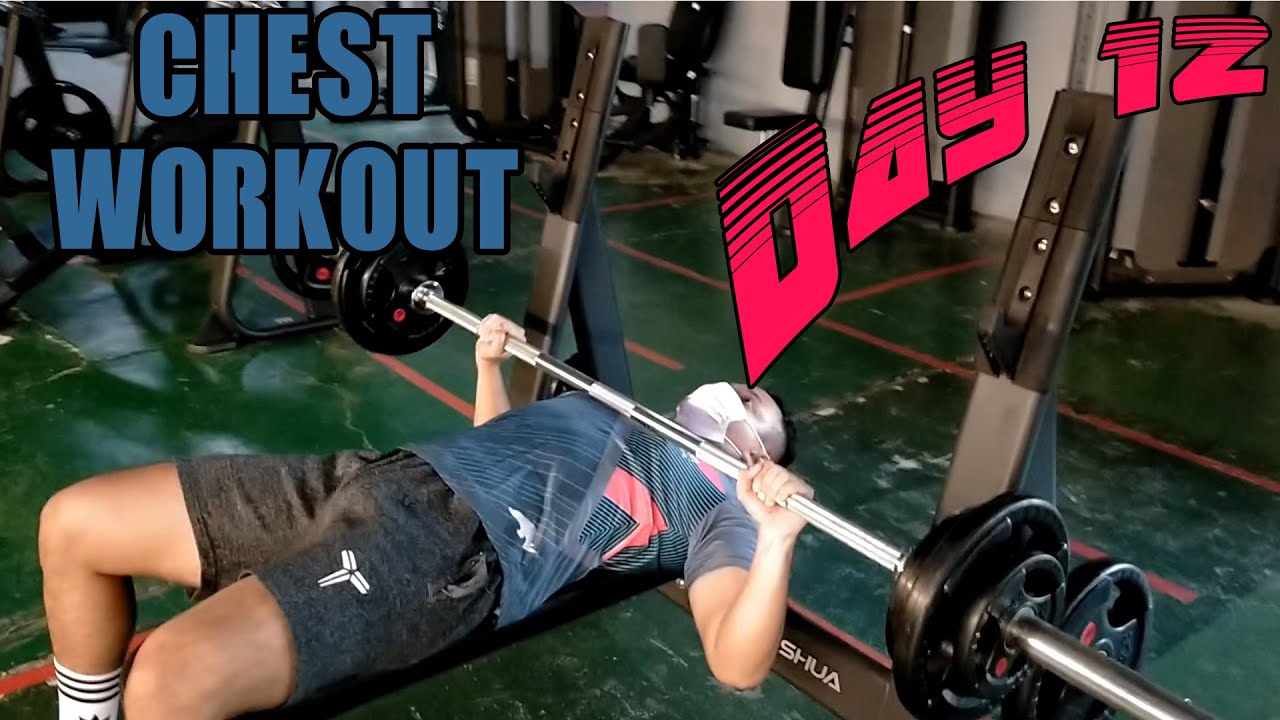 Elevation Fitness Gym - Chest Workout | Day 12 - YouTube