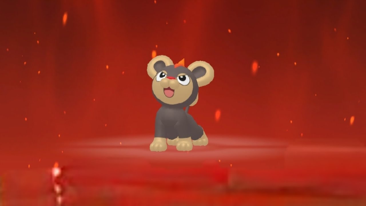 Pokédex #667: Litleo - YouTube