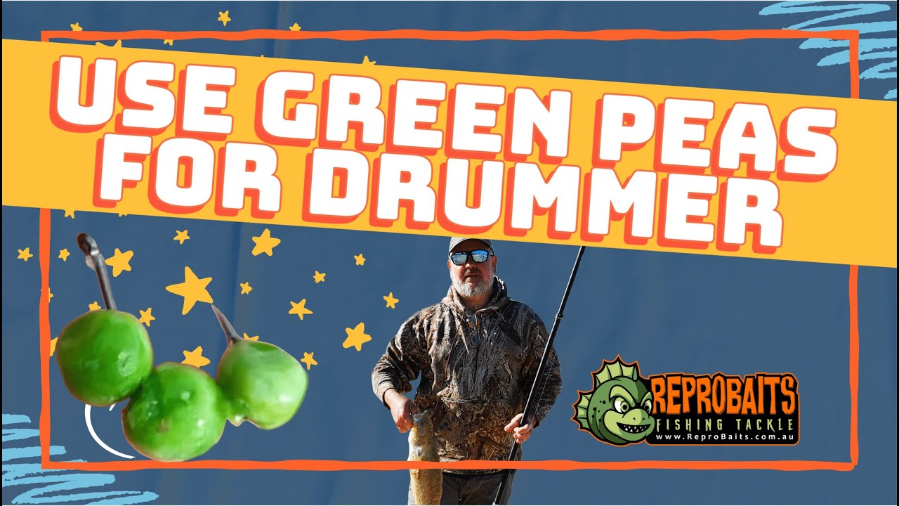 Fishing for Drummer & Bream with Green Peas: A Unique Bait Choice ...