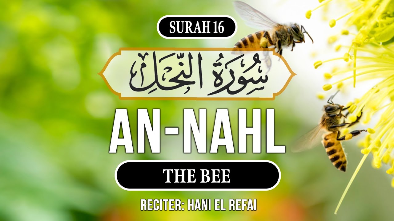 Surah An-Nahl | Surah 16 | The Bee | With English Translations - YouTube