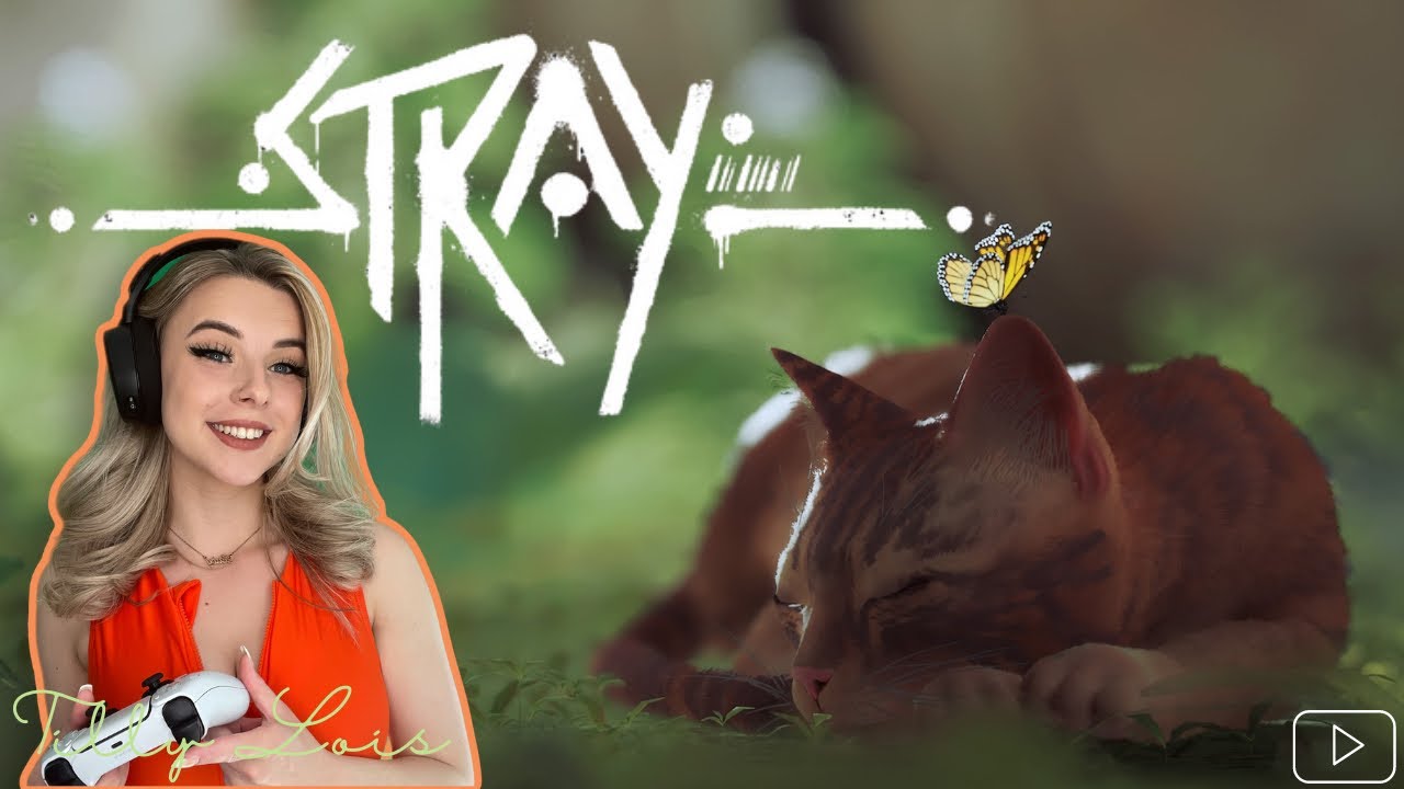 STRAY | 'HOW CUTE IS THIS GAME??' | Gameplay Highlights - YouTube