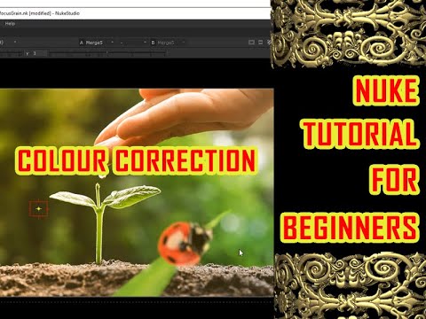 how to match color of any element with bg | color correction in nuke ...