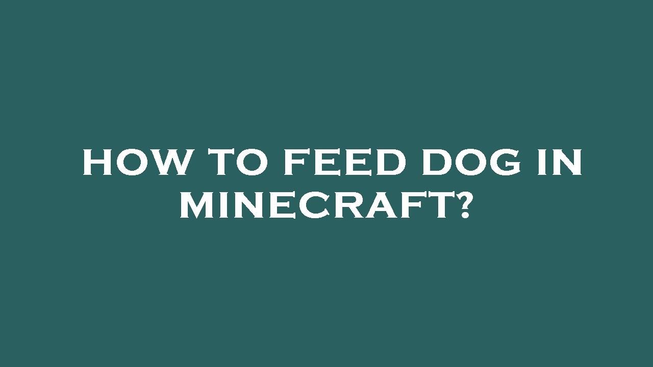 How to feed dog in minecraft? - YouTube