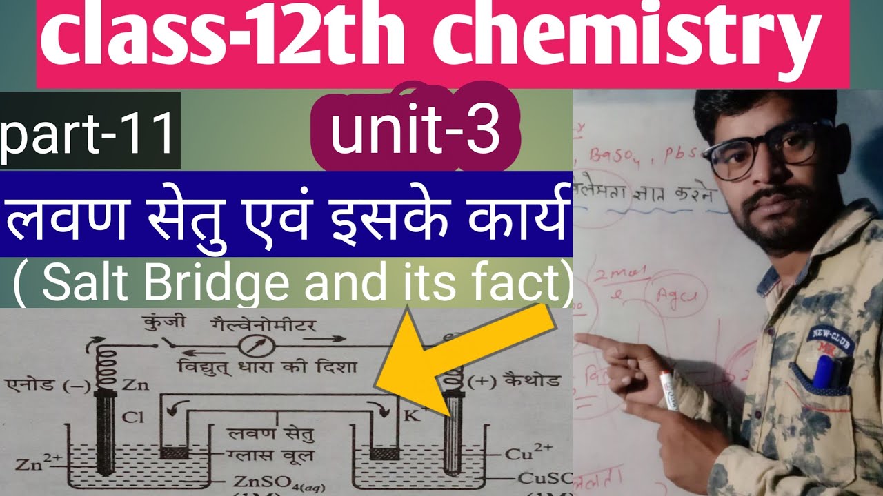 Unit-3|लवण सेतु एवं इसके कार्य salt bridge and its fact|class-12th ...