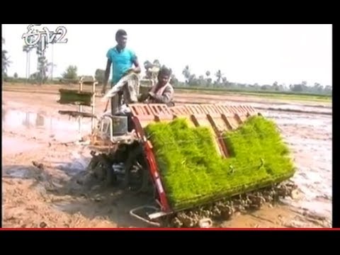 Mechanisation in Sri Vari Saagu on 29th January 2014 - YouTube