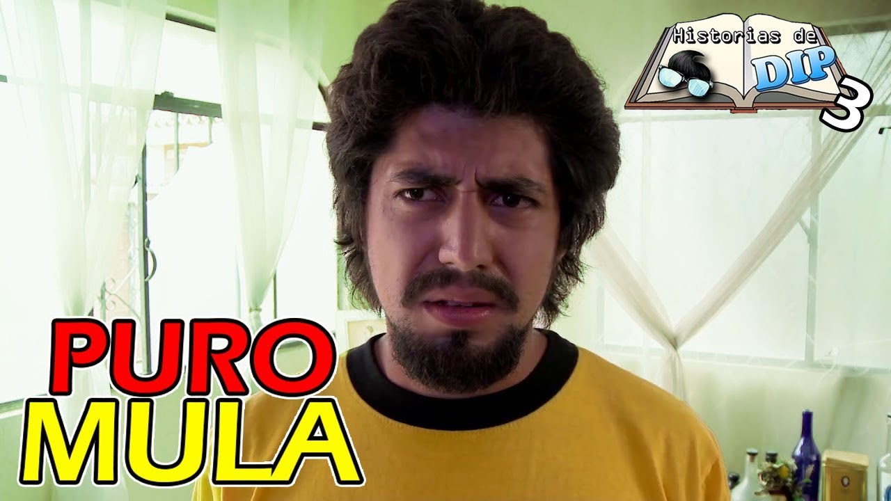 LA HISTORIA DE PURO MULA ¡A LA GRAN P#T$ JOEL! - HISTORIAS DE DIP #3 ...