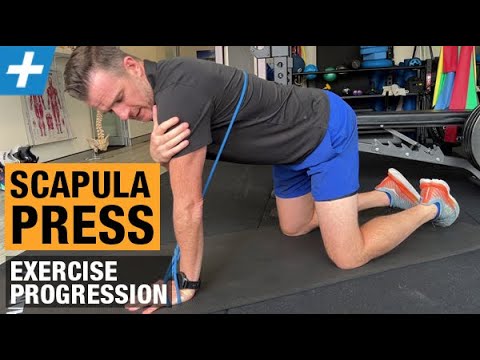 Scapula Press Exercise Progression for Serratus Anterior and Winging ...