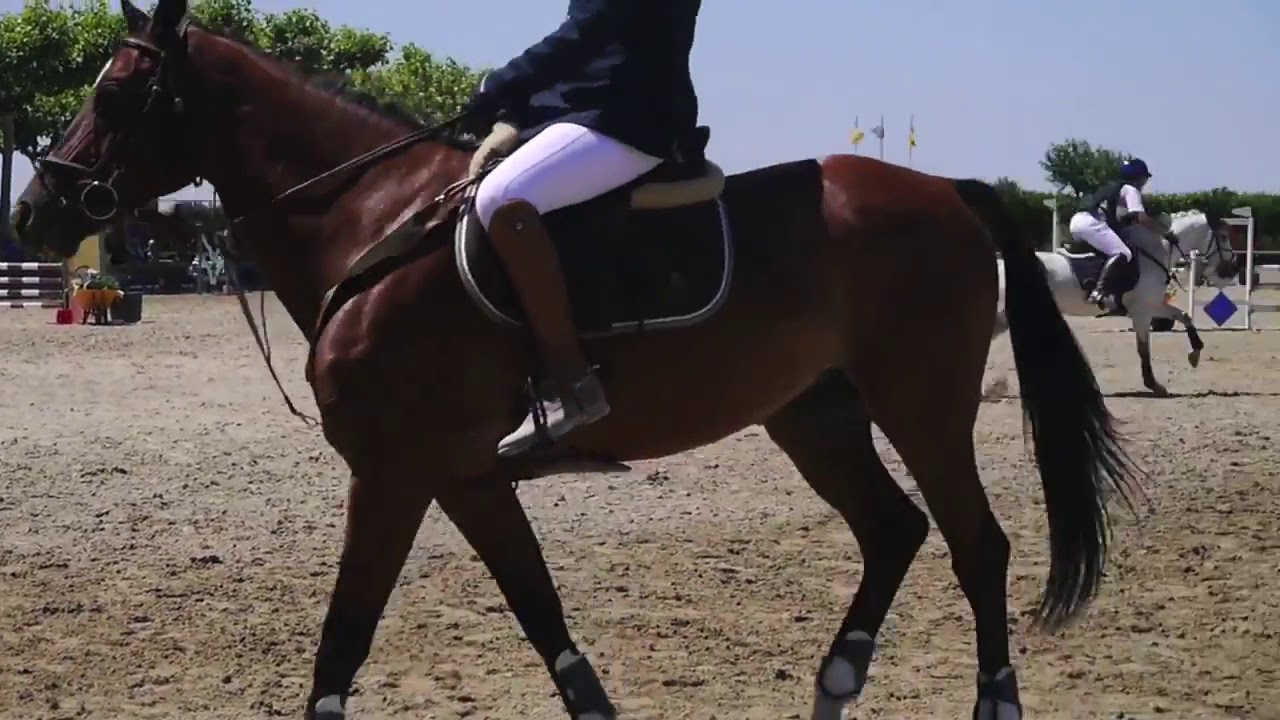 Marçal Piró Patau & Callowfeenish Rock CST0 03/07/2016 - YouTube