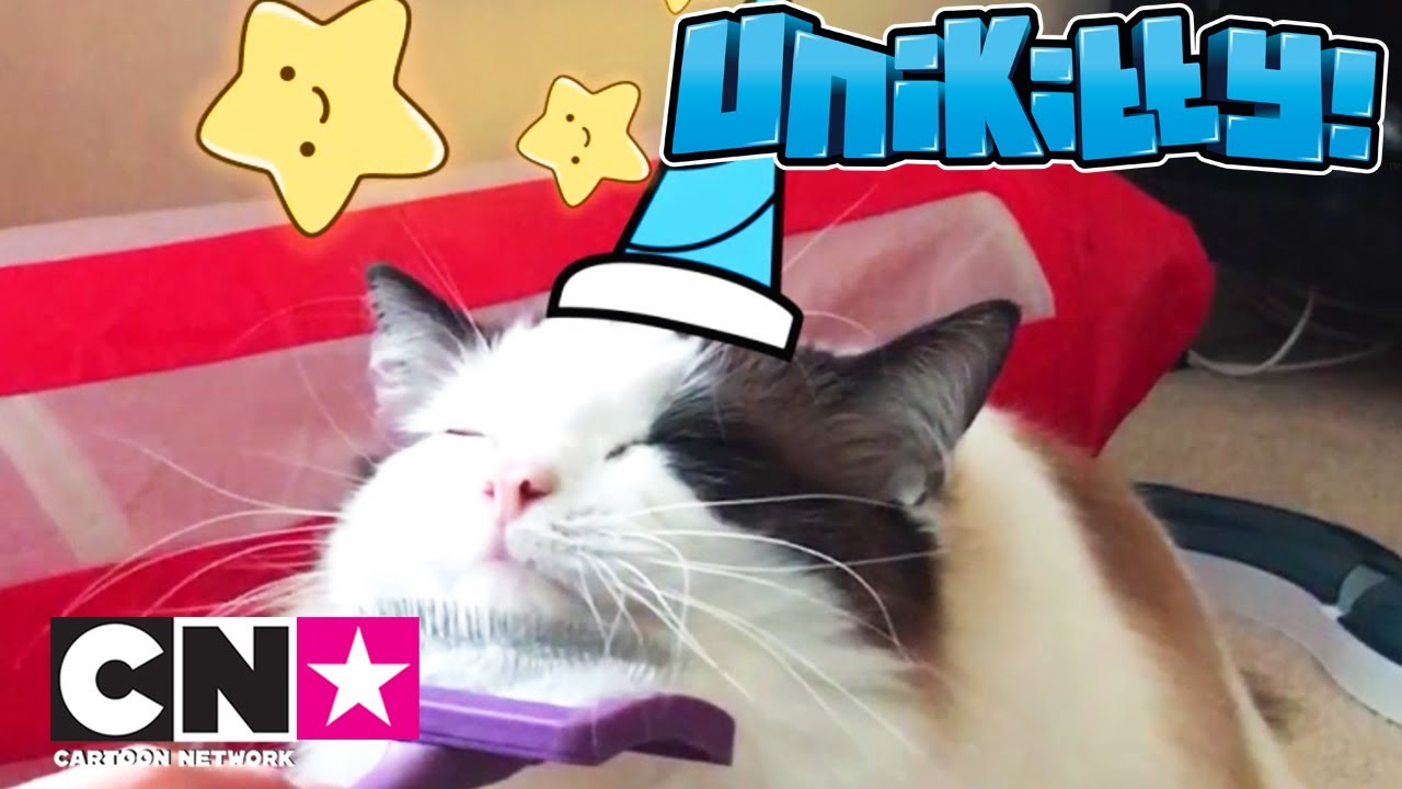 Csoda Kitty | Igazi macskák szarvval | Cartoon Network - YouTube