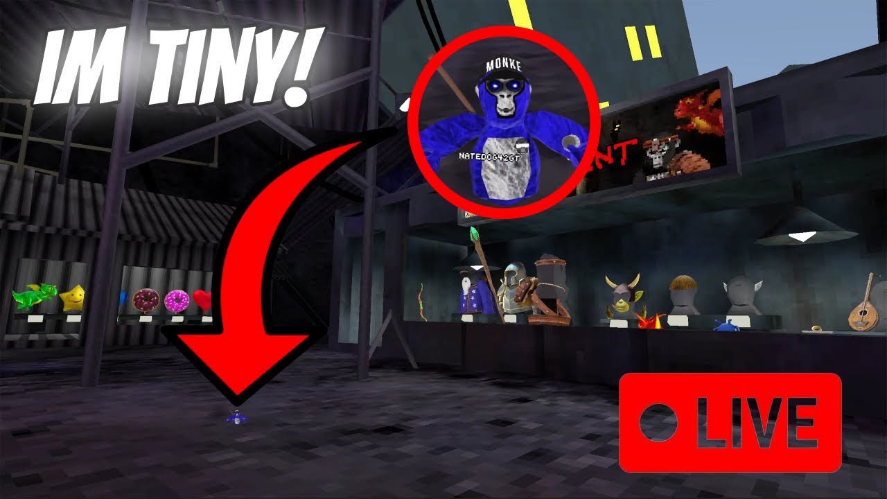 GTAG TINY CHALLENGE!!!! #gorillatag #shorts #gaming - YouTube