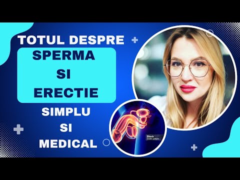 Aparatul genital masculin: Cum se formează sperma și mecanismul erecției explicate simplu