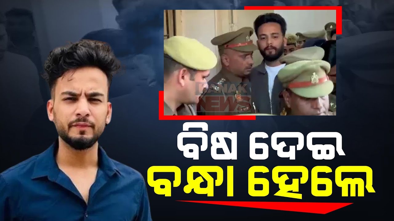 Elvish Yadav Admits To Arranging Snake Venom In Rave Parties - YouTube