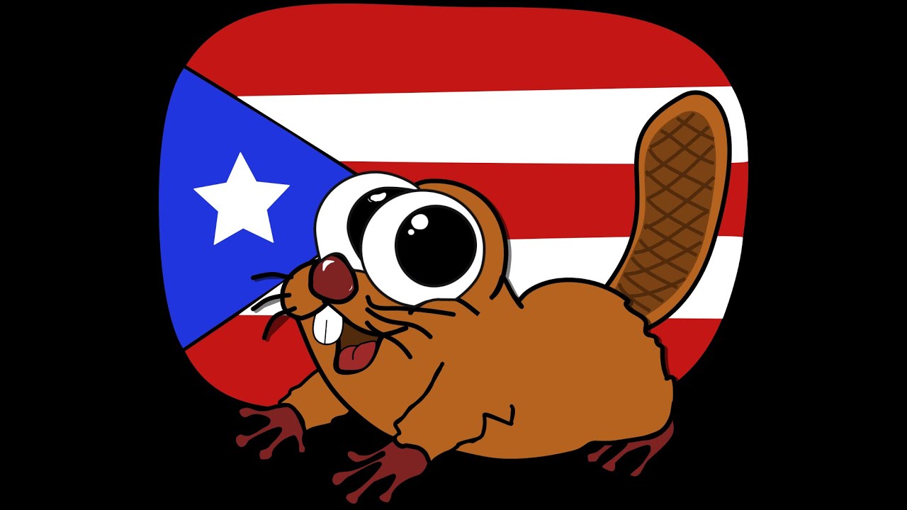 Bebras bienvenida - YouTube