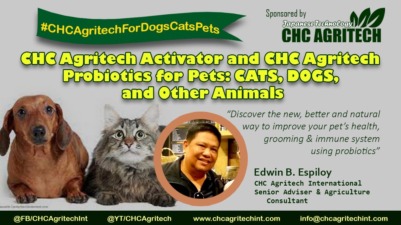 CATS, DOGS & Other Pet Animals - CHC Agritech Probiotics & CHC Agritech ...