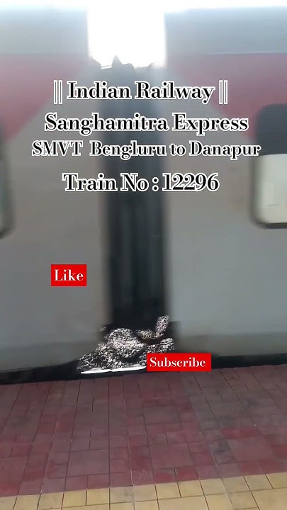 Indian Railway | 12296 Sanghamitra SF Express 🚆 | SMVB to DNR | #ytshorts #shortsfeed # ...