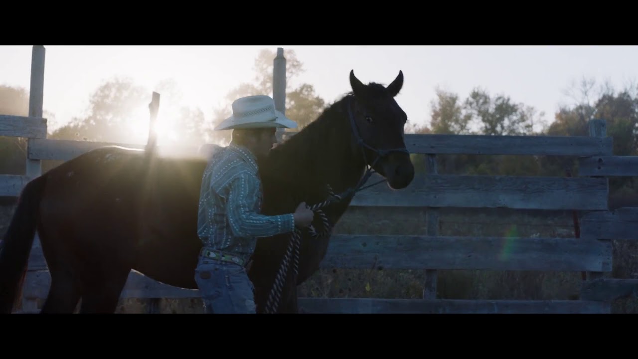 Tráiler The Rider subtitulado - YouTube