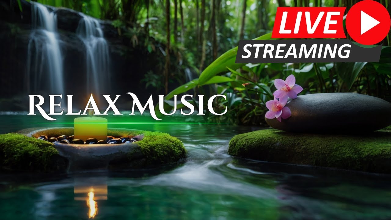 LIVE NOW! Ambient Sounds for Deep Sleep, Relaxation, Study, Work, productivity, and Focus Music ...