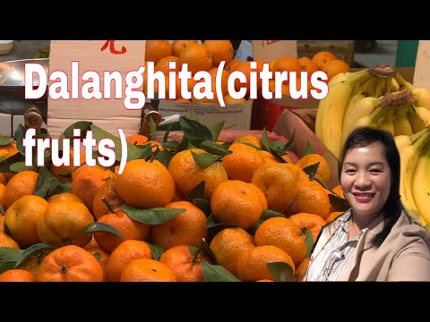 Dalanghita/ (Citrus Fruits) sa Prince Edward/RC Janet G/ - YouTube